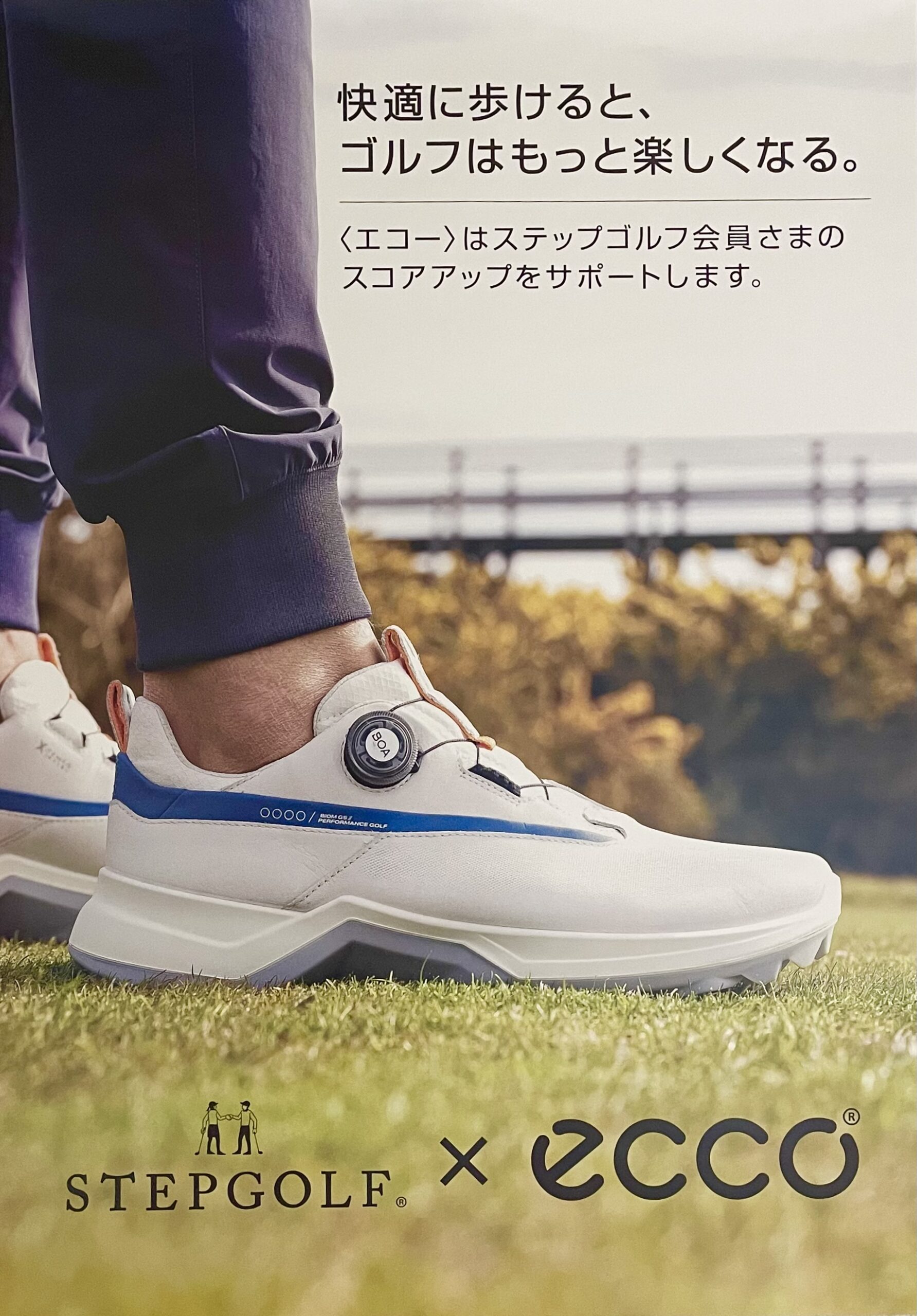 STEPGOLF × ecco | インドアゴルフ業界で店舗数No1,STEPGOLF