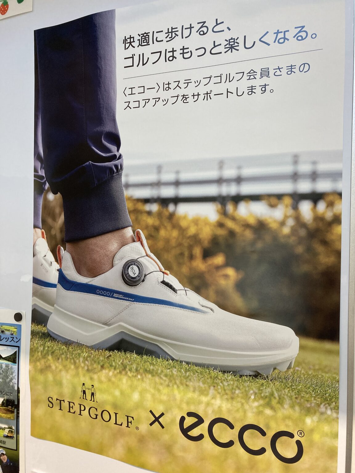「STEPGOLF×ecco」特別コラボキャンペーン | インドアゴルフ業界で店舗数No1,STEPGOLF