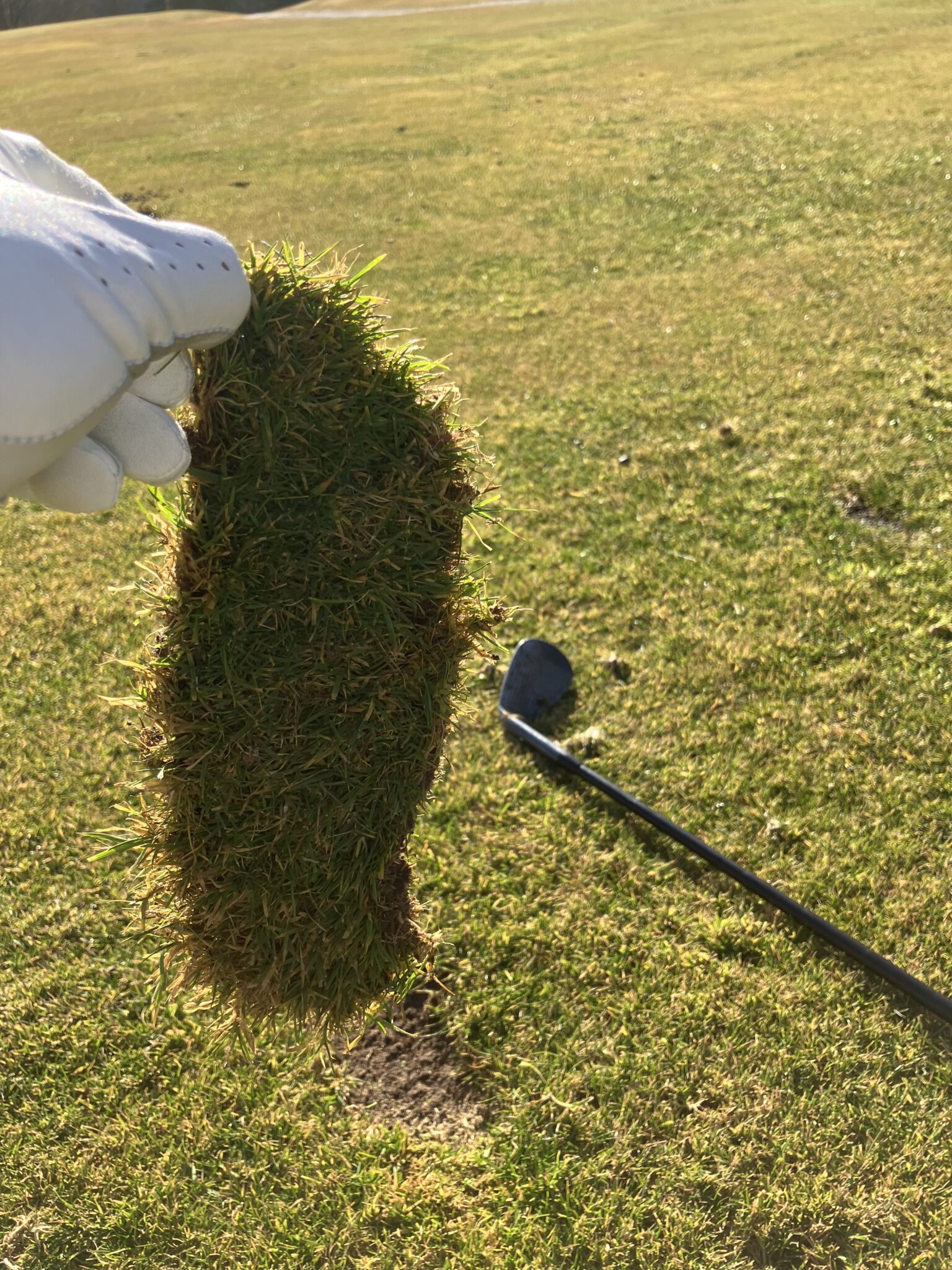 フェアウェイがベント芝のゴルフ場は | インドアゴルフ業界で店舗数No1,STEPGOLF