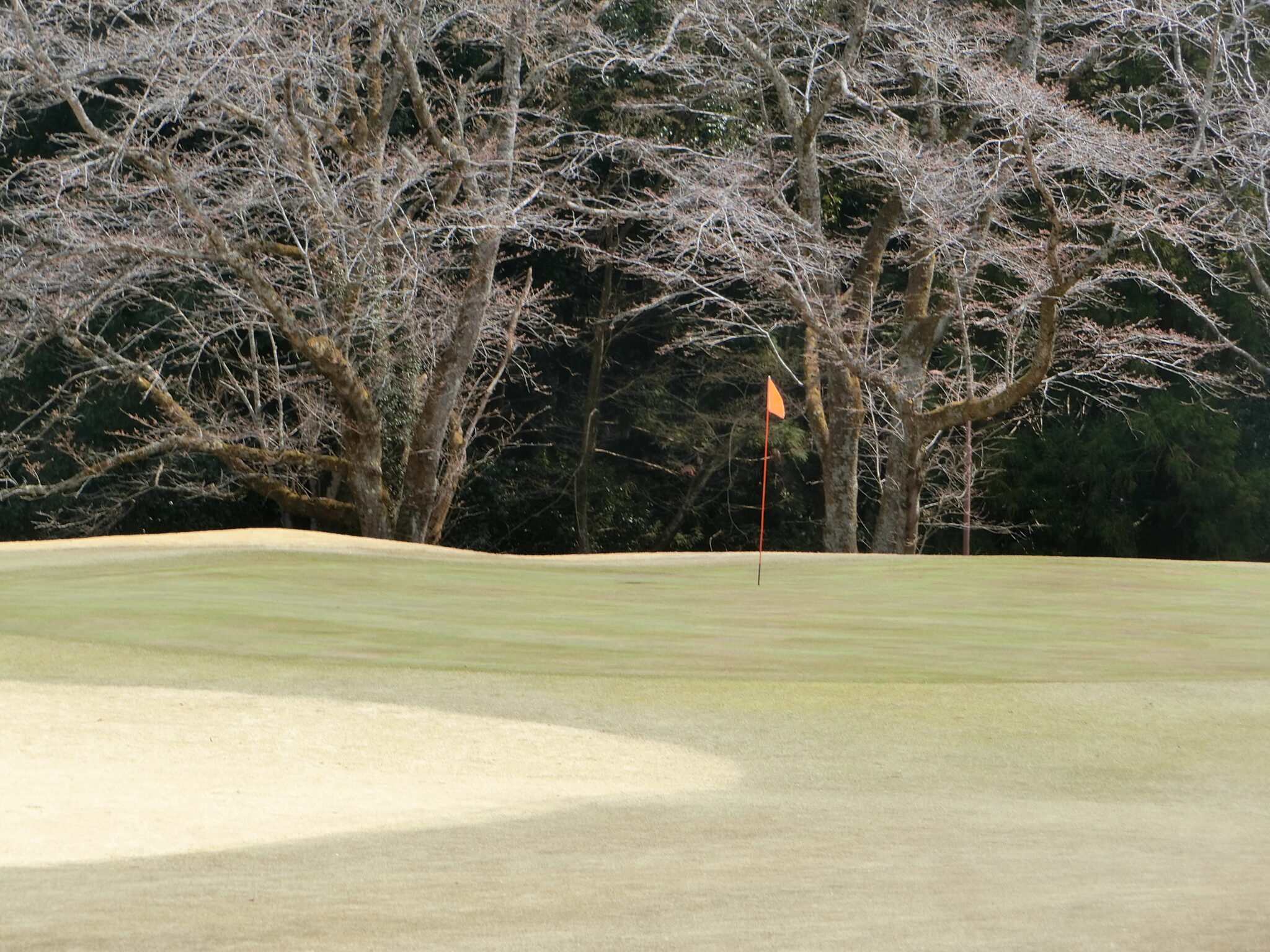 とにかく100を切りたい！という方、これらの条件クリアを課題に練習してみてください！！④ | インドアゴルフ業界で店舗数No1,STEPGOLF